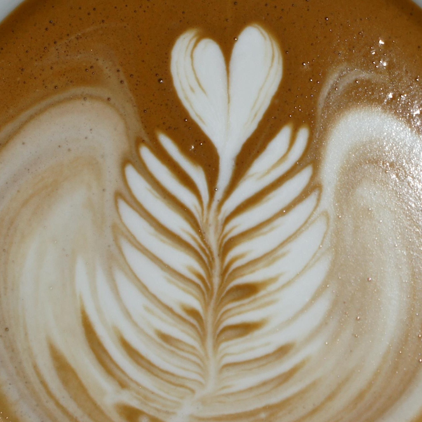 Java Station - Santa Barbara, CA | SantaBarbaraYP